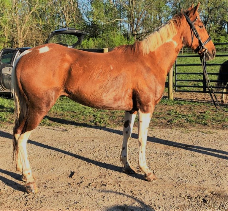 100 Days of Redemption: Days 91-100 – Guided Strides